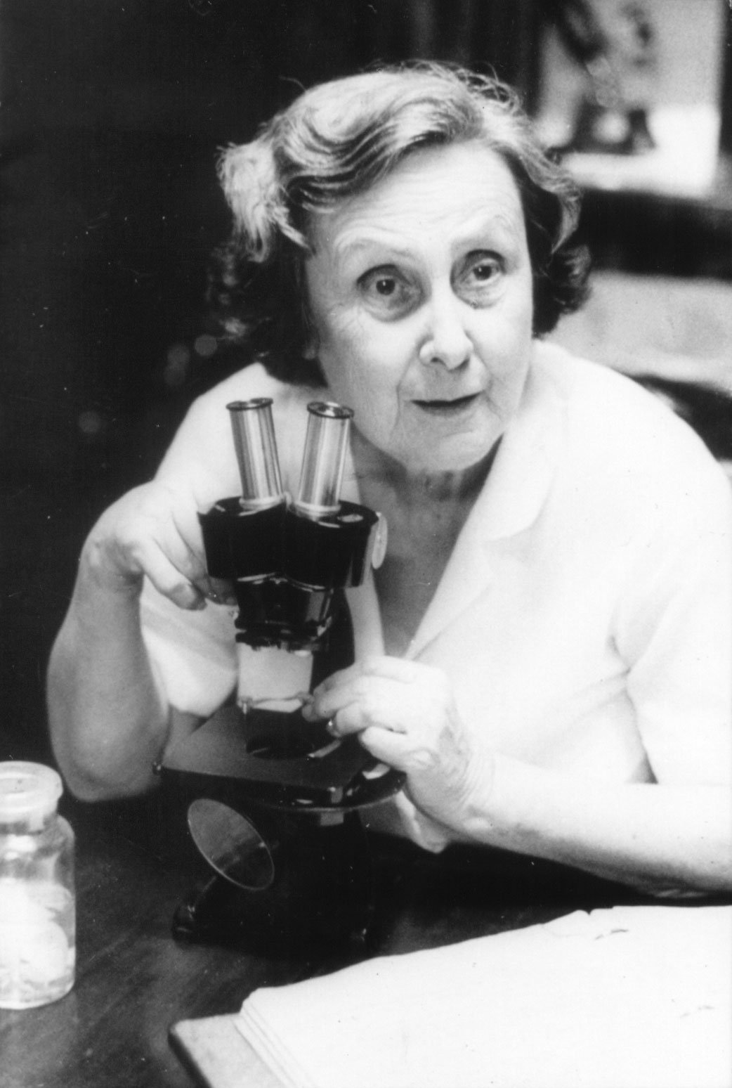 Bertha Lutz (1894 – 1976) – Memória Feminista Antirracista Bertha Lutz (1894 – 1976) – Memória Feminista Antirracista